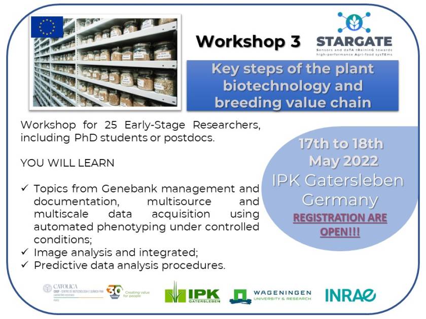 Key steps of the plant biotechnology and breeding value chain - Stargate