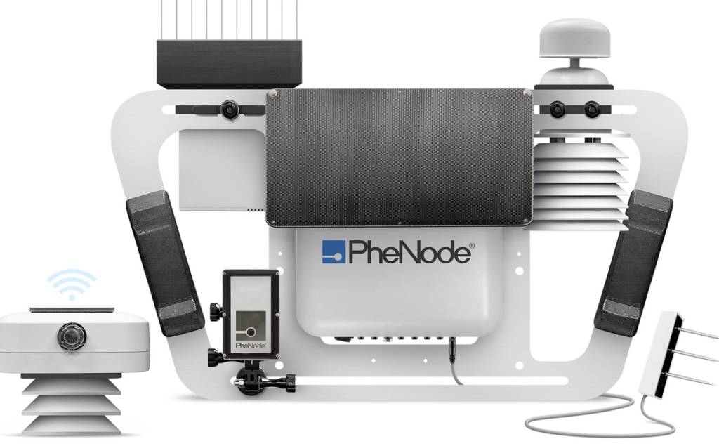 Agrela Ecosystems (PheNode) - Stargate